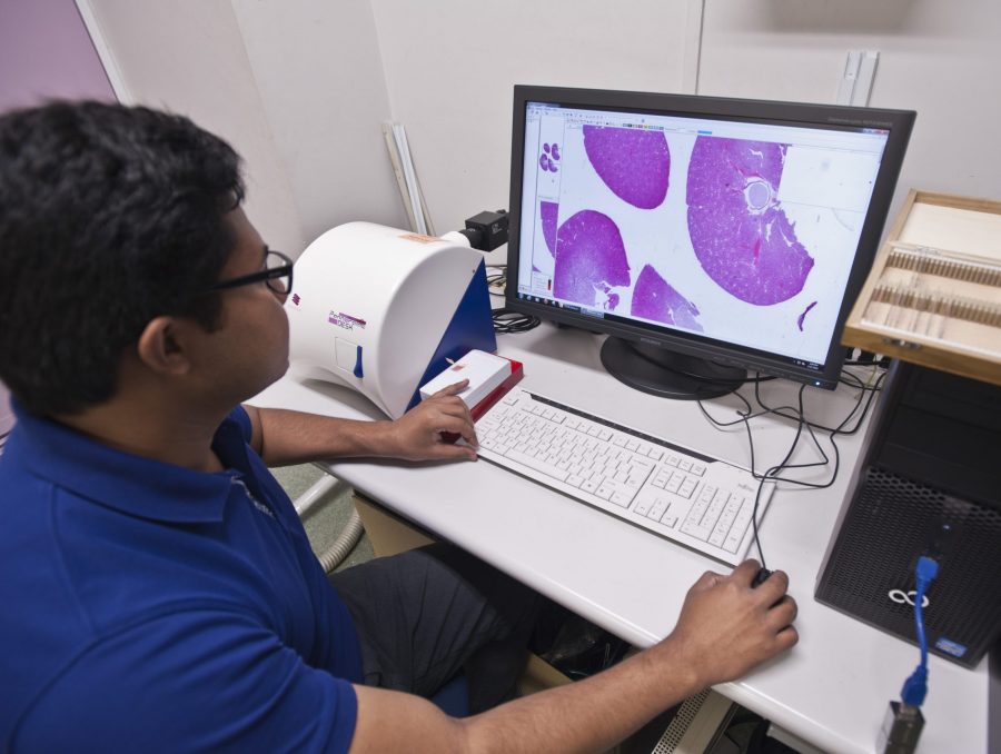 Research – Yamaguchi Lab