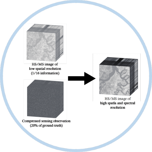 Research – Yamaguchi Lab
