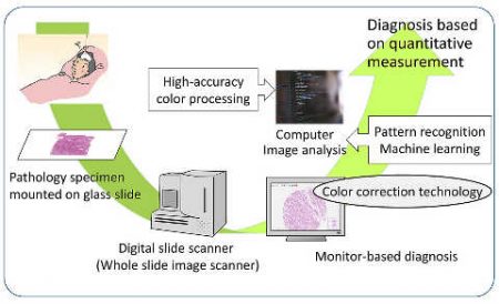 Pathology image analysis – Yamaguchi Lab